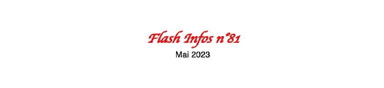 Flash Infos n°81