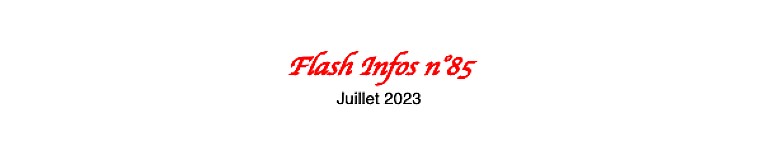 Flash Infos n°85